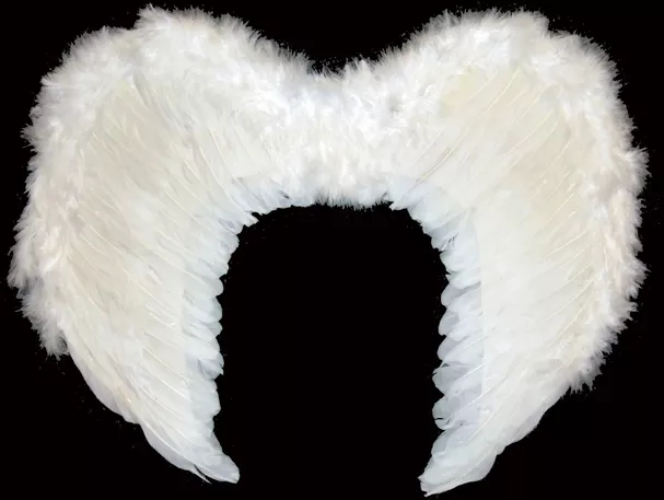 Aripi ingeras la CEL.ro